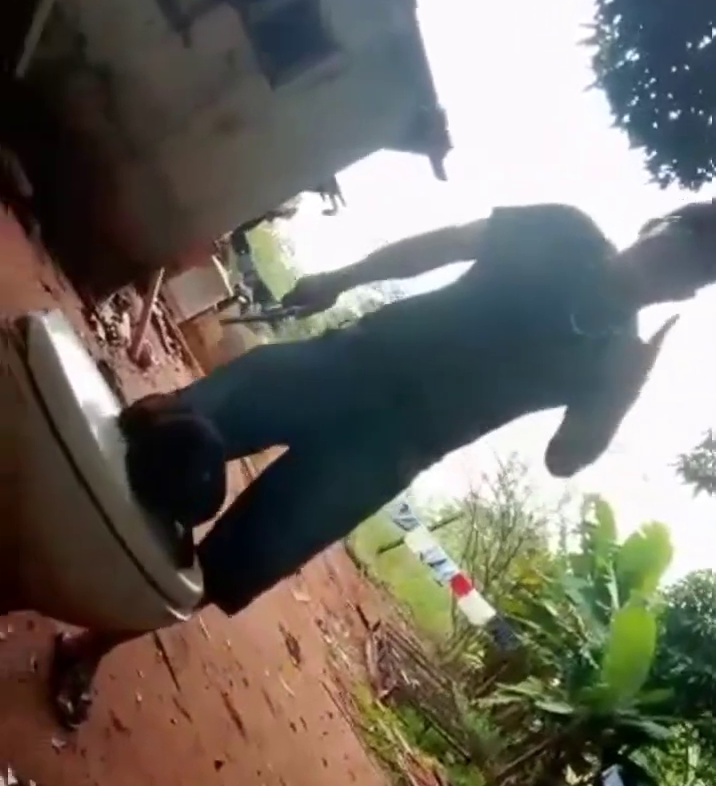 Não Me Mata Eu Tenho Filho Homem Implora Pela Vida E Filma A